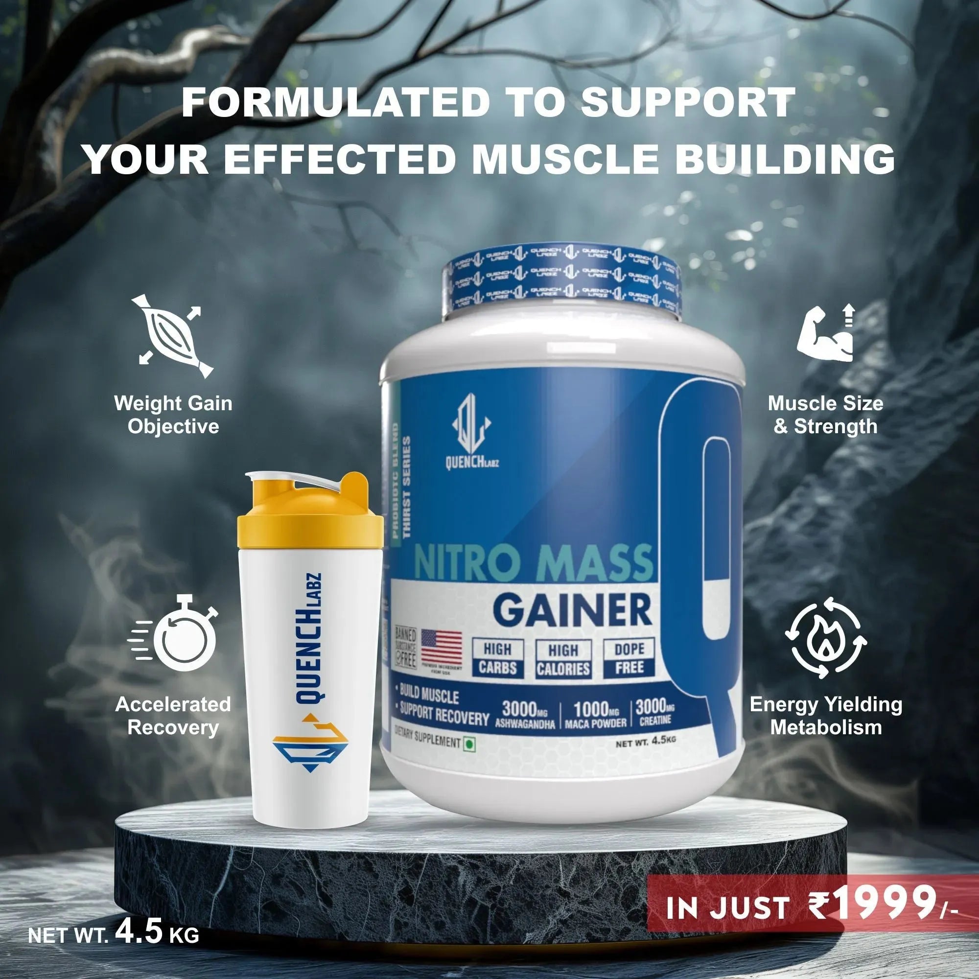 Buy Nitro Mass High-Calorie Protein for Weight Gain & Muscle Growth ...